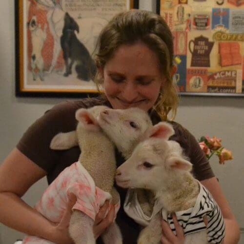 The Best Vegan Options In Tacoma, Washington | Vegan Unlocked