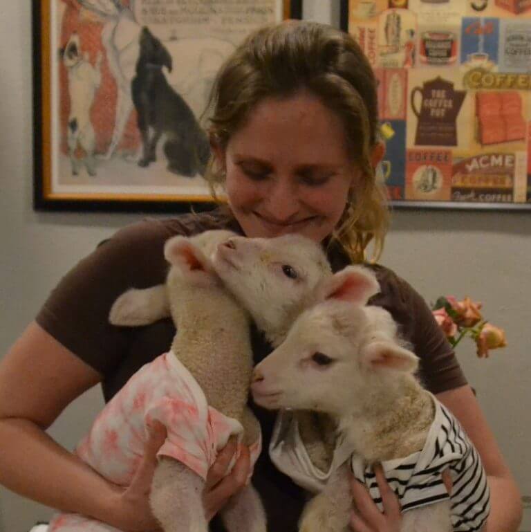 The Best Vegan Options In Tacoma, Washington | Vegan Unlocked